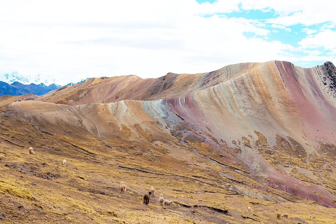 Palccoyo Rainbow Mountain Tour - Full Day Tour (Group Service) - Why Choose Palccoyo Rainbow Mountain Tour?