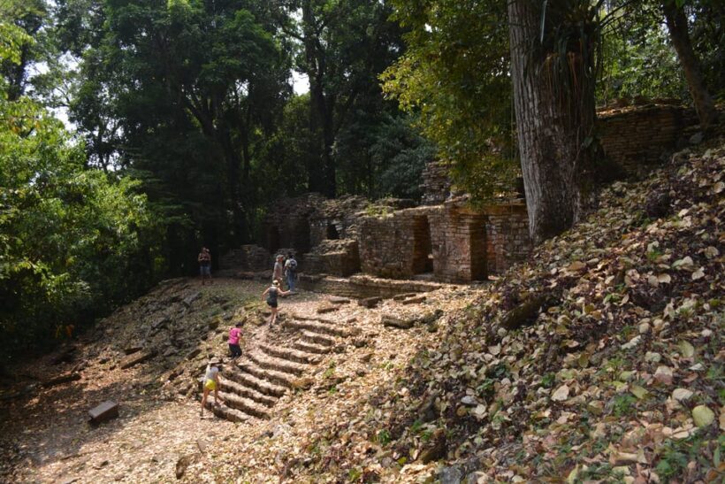 Palenque: 2-Day Lacandon Jungle, Yaxchilan, & Bonampak Trip - Value for Money: Does It Stack Up?