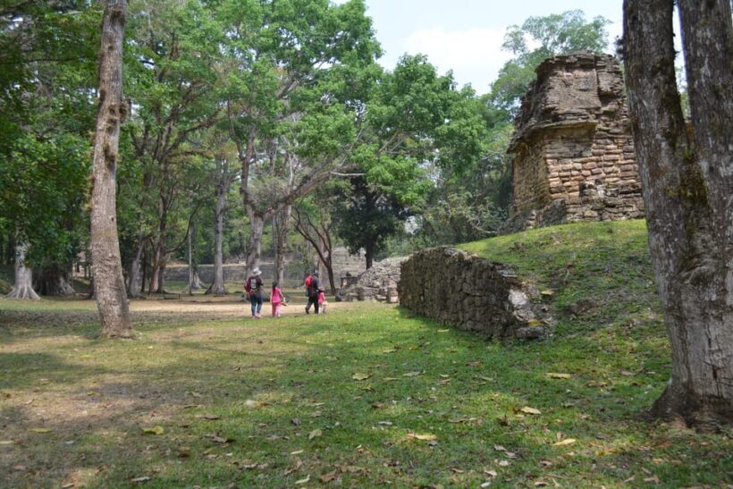 Palenque: 2-Day Lacandon Jungle, Yaxchilan, & Bonampak Trip - FAQ