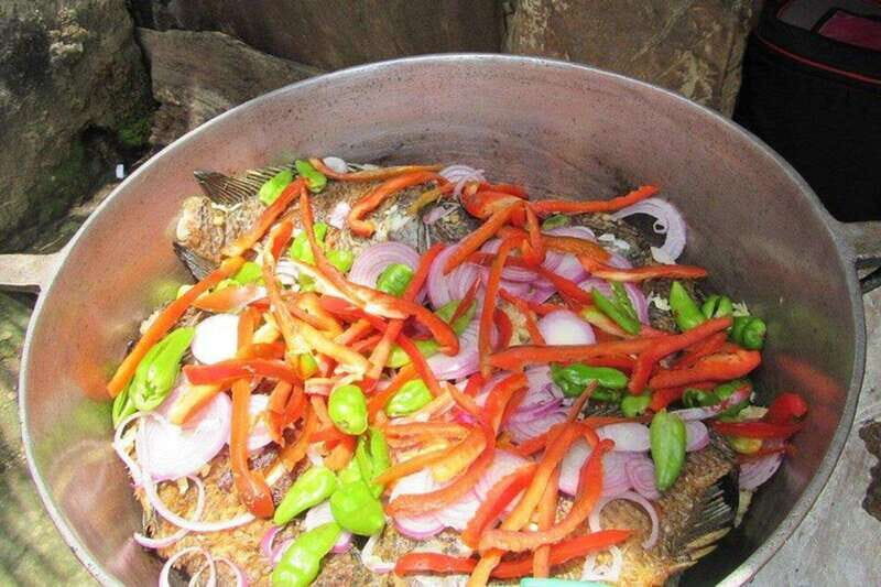 Palenque: Eco-Tour on Horseback with Lunch - Key Points