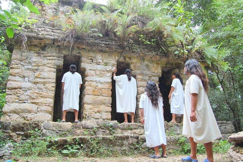 Palenque: Lacandona Jungle Path - Ecotourism Adventure - Exploring the Jungle: What Travelers Can Expect