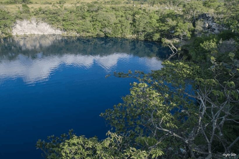 Palenque: Metzabok Adventure from Palenque - Practical Considerations and Value