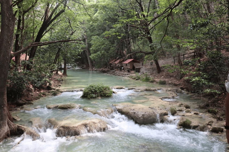 Palenque: Rafting and Jungle Trail Adventure - A Close Look at the Experience