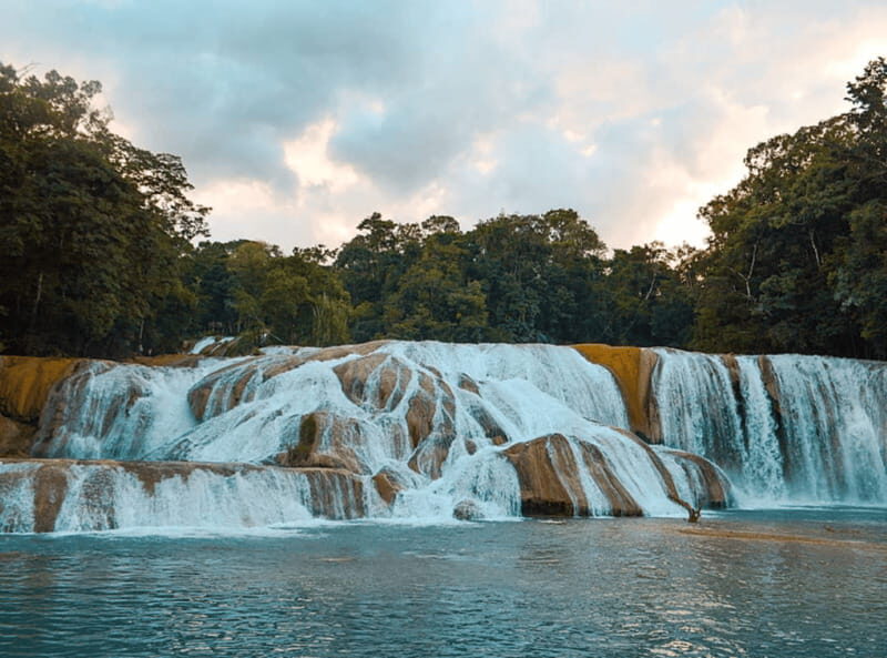 Palenque: Roberto Barrios Waterfall Tour - Key Points