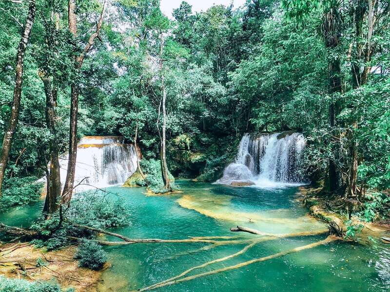 Palenque: Roberto Barrios Waterfall Tour - An In-Depth Look at the Roberto Barrios Waterfall Tour