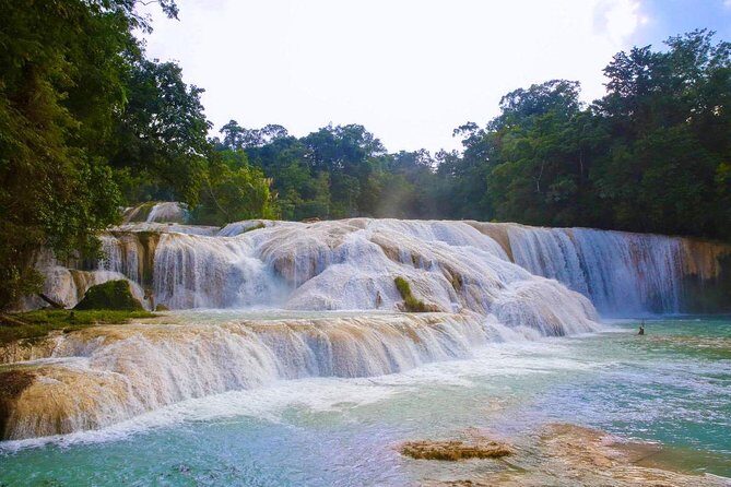 PALENQUE RUINS, AGUA AZUL and MISOL-HA (Private) - The Sum Up