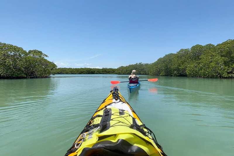 Palenque to San Cristobal. 5-day Jungle Tour + Rafting+Kayak - Who Should Consider This Tour?