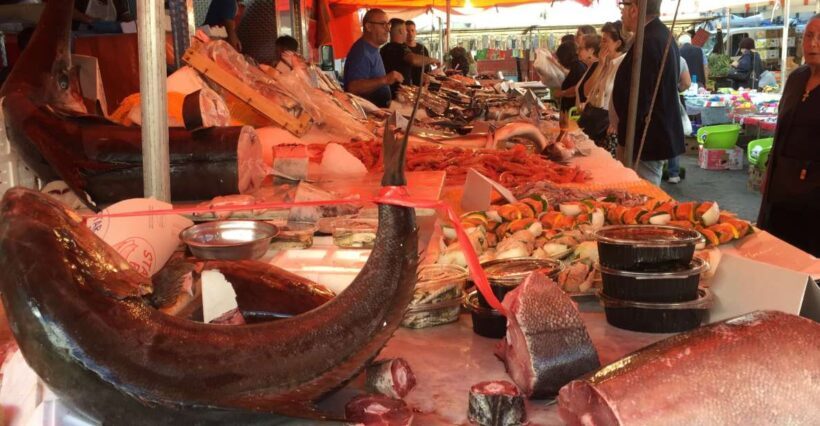 Palermo: Authentic Sicilian Cooking Class with Gourmet Lunch - Who Is This Tour Best For?