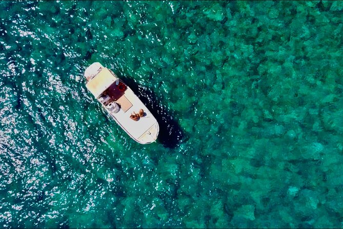 Palermo by Sea: Exclusive Coastal Escape With Aperitif - Customer Feedback and Highlights