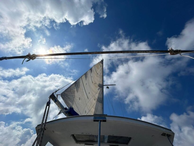 Palermo: Full-Day Snorkeling Boat Tour with Lunch and Wine - Key Points