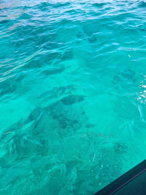 Palermo: HALF-DAY TOUR ON BOAT - Introduction to the Palermo Boat Tour