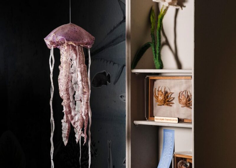 Palermo: sensorial experience of nature and ecology - Who Will Love This Tour?