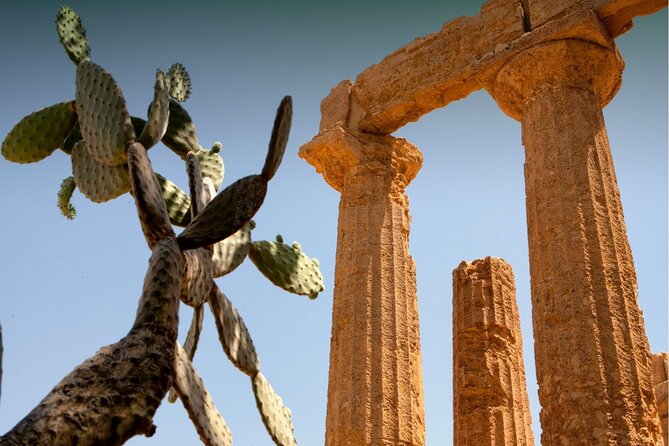 Palermo to Siracusa: Stop at Valley of Temples & Roman Villa - Booking Information and Cancellation Policy