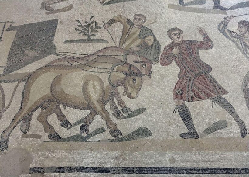 Palermo to Taormina: stop Valley of Temples and Roman Villa - Who This Tour Is Best For