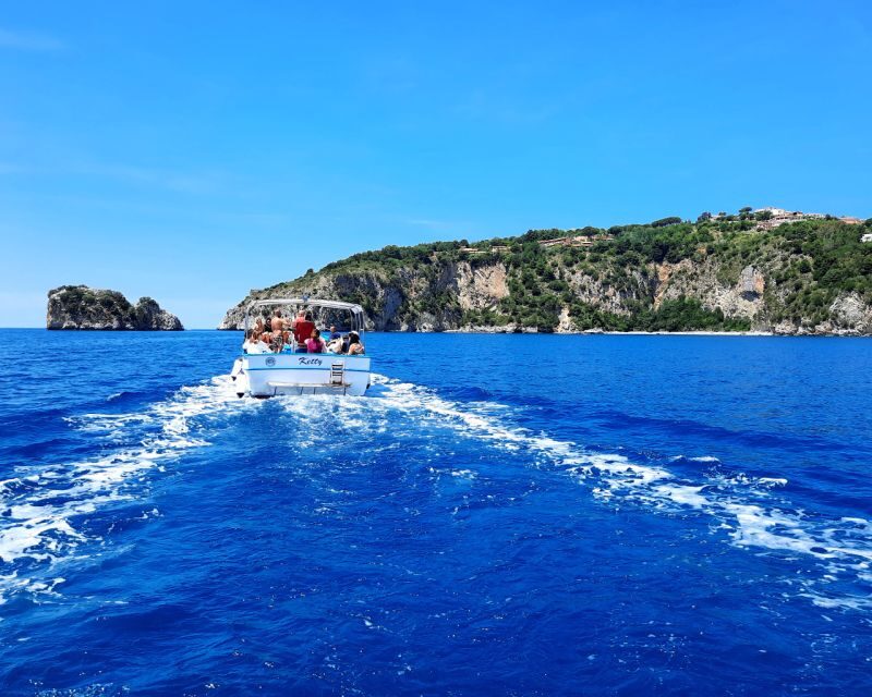 Palinuro: Boat Trip along the Coast & Blue Grotto Visit - The Value of the Experience