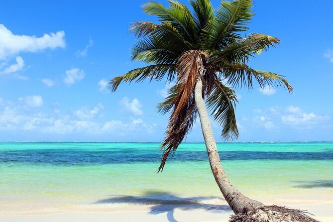 Palladium Punta Cana - Round Trip Shuttle - Punta Cana Airport - Why Choose This Shuttle?