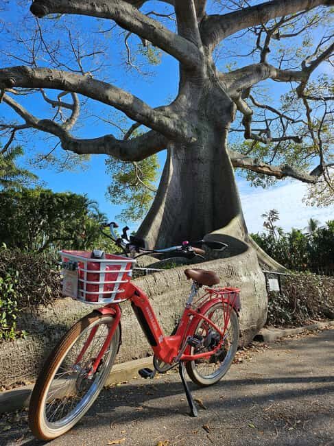 Palm Beach: 3 hr Guided Electric Bike Tour - Final Thoughts