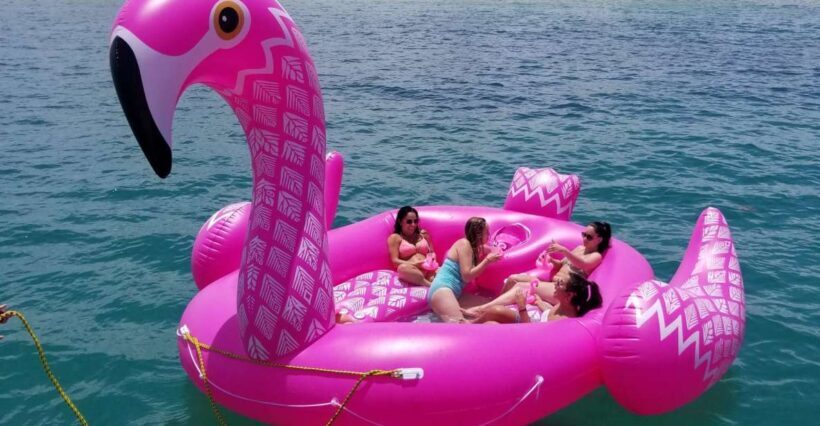 Palm Beach: Floatilla Party Cruise - The Scenery and Highlights