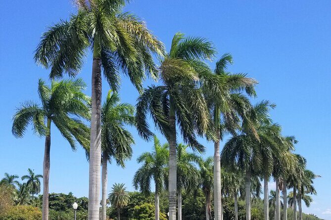 Palm Beach Tour from Miami - Flagler's Museum + Hotel Breakers - A Deep Dive into the Tour Experience