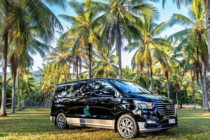 Palm Cove to/from Cairns ONE WAY Private Transfer 6 pax - An In-Depth Look at the Experience