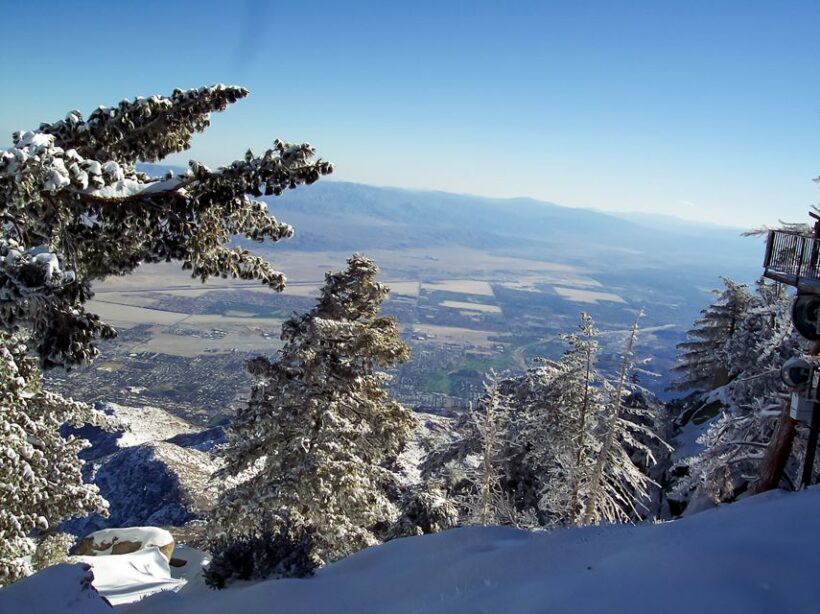 Palm Springs: Aerial Tramway Round-Trip Ticket - Practical Tips for Your Trip