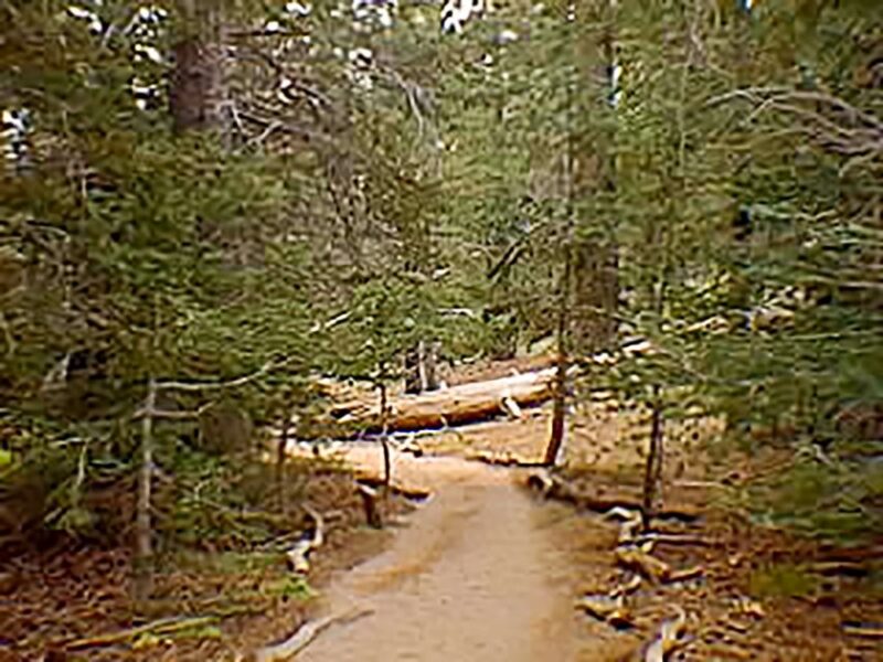 Palm Springs: Aerial Tramway Round-Trip Ticket - Key Points