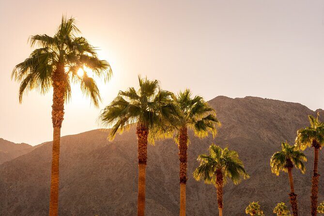 Palm Springs and Joshua Tree Self-Guided Driving Audio Tours - An In-Depth Look at the Tour Itinerary