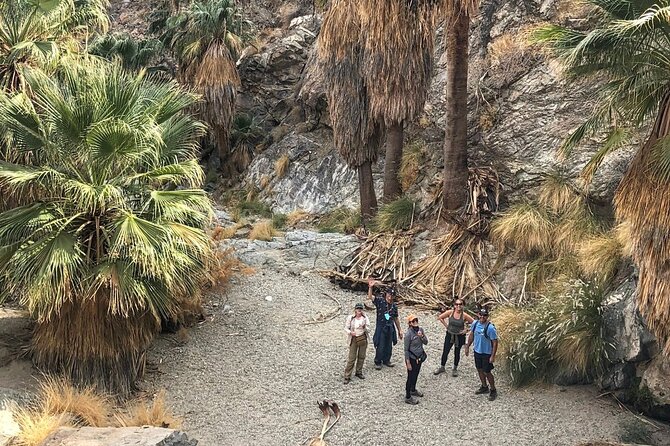 Palm Springs Hike to an Oasis and Amazing Desert Views - Health and Safety Guidelines