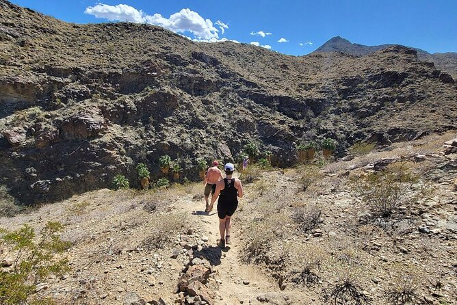 Palm Springs Hike to an Oasis and Amazing Desert Views - Guide and Participant Feedback