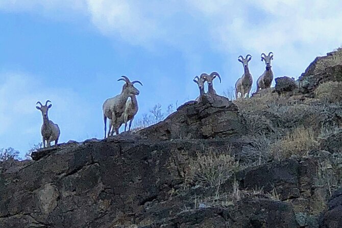 Palm Springs Hike to an Oasis and Amazing Desert Views - What to Expect on the Trail