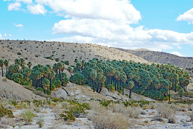 Palm Springs Self-Guided Driving Audio Tour - Who Will Love This Tour?