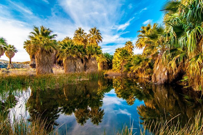 Palm Springs Self-Guided Driving Audio Tour - Final Thoughts: Is it Worth It?