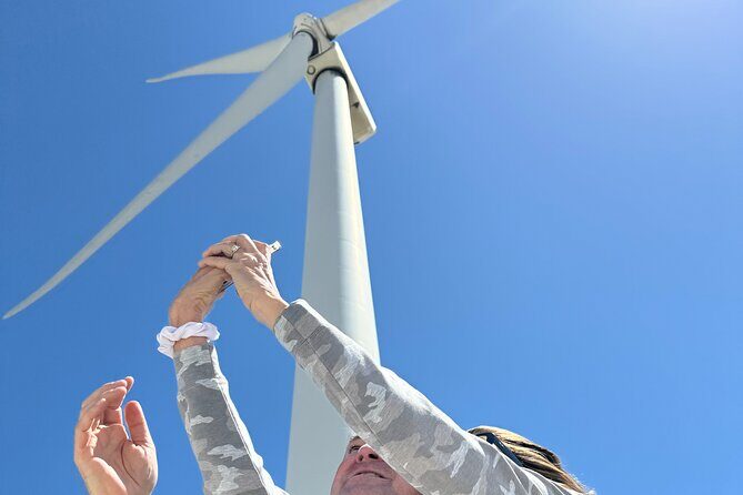 Palm Springs Windmill Guided Tour by Golf Cart - Who Will Benefit Most?