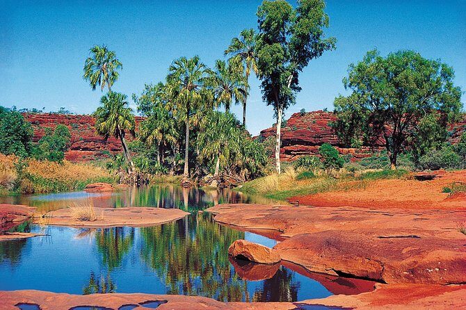 Palm Valley 4WD Tour from Alice Springs - In-Depth Tour Breakdown
