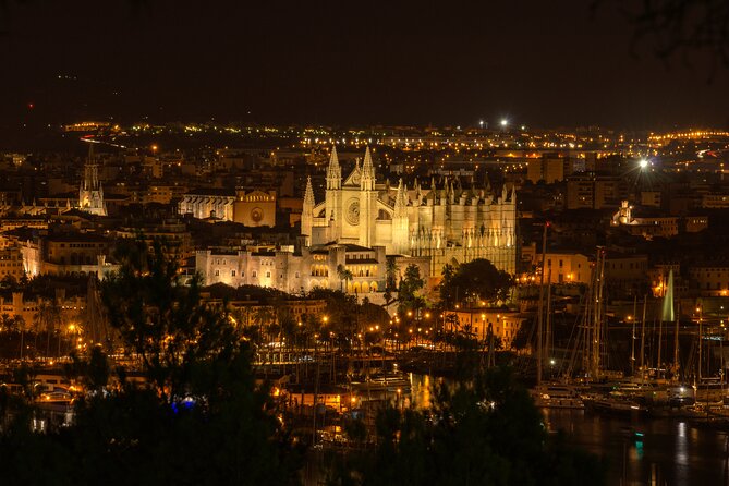 Palma at Night by Boat - Who Will Love This Tour?