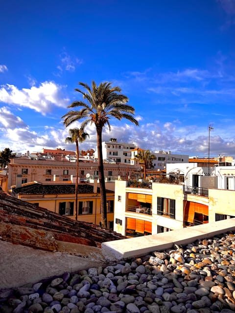 Palma authentically. City tour with snacks and wine - A closer look at what the tour offers