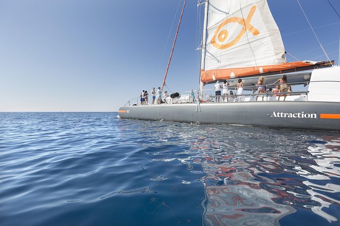 Palma Bay Catamaran Half-Day Cruise - Customer Experiences