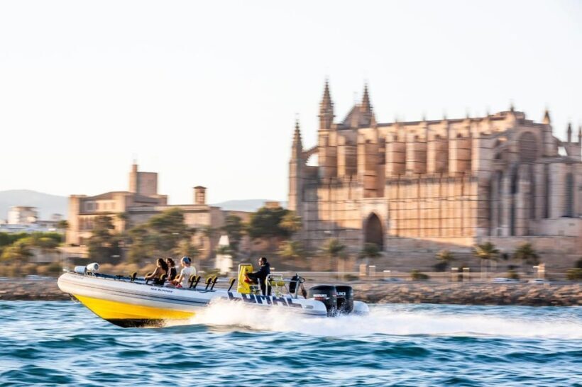 Palma Bay: Speedboat Discovery Tour - An In-Depth Look at the Palma Bay Speedboat Discovery Tour