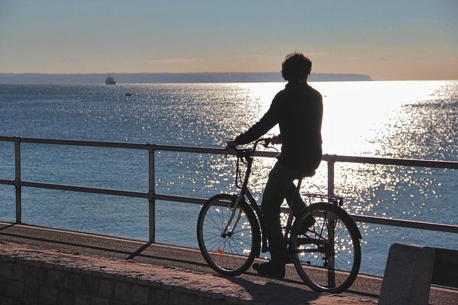 Palma De Mallorca 3-Hour Highlights and Tapas Tasting Bike Tour - Tapas Tasting Experience