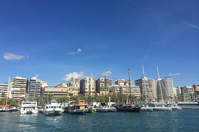 Palma De Mallorca Bay Boat Trip - Additional Details