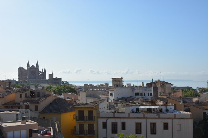 Palma De Mallorca Easy Bike Tour - Recommendations for Experiencing the Tour
