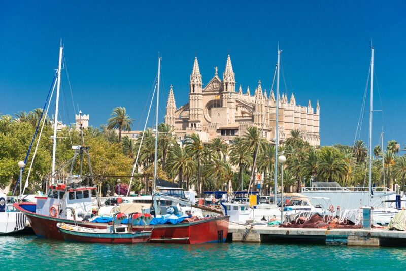 Palma de Mallorca: Free time in Palma & Boat Tour - Who Would Enjoy This Experience?