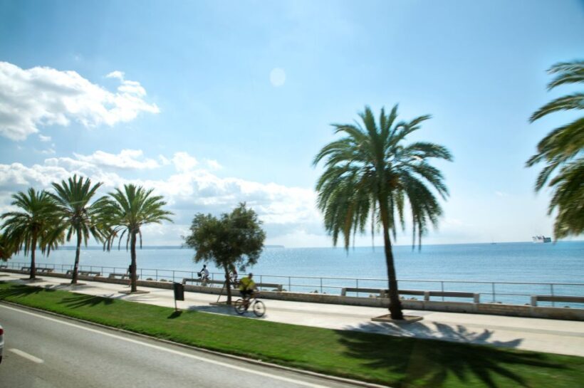 Palma de Mallorca: Full-Day Tour with Departure Options - What To Expect From The Tour