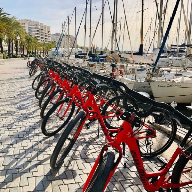 Palma de Mallorca: Guided Bicycle Tour with Tapas & a Drink - A Closer Look at the Experience