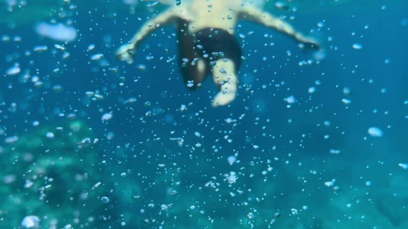 Palma de Mallorca: North Coast Nature Escape Day Tour - The Experience from the Traveler’s Perspective