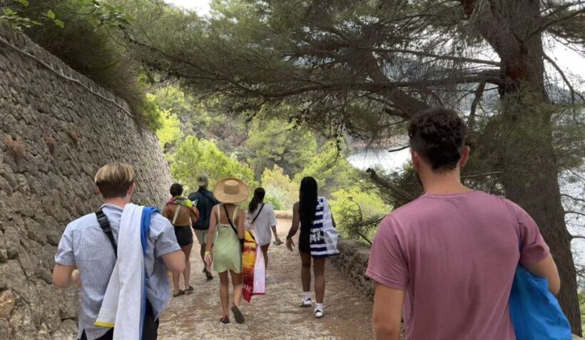 Palma de Mallorca: North Coast Nature Escape Day Tour - Practical Tips for Future Travelers