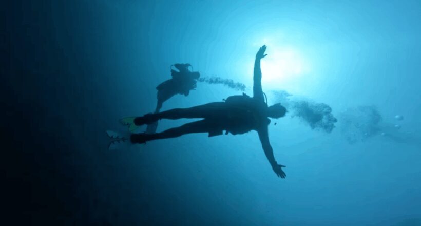 Palma de Mallorca: PADI Open Water Diver Course - The Experience: What to Expect from the PADI Open Water Diver Course