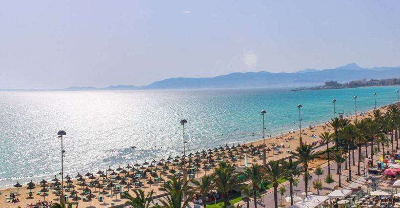 Palma de Mallorca: Palma and Playa de Palma - Who Is This Tour For?