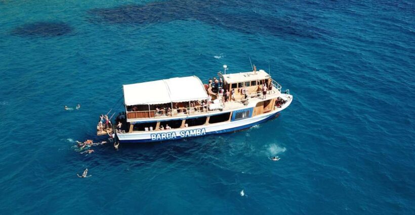 Palma de Mallorca: Palma Bay Boat Tour with Snorkeling - Key Points