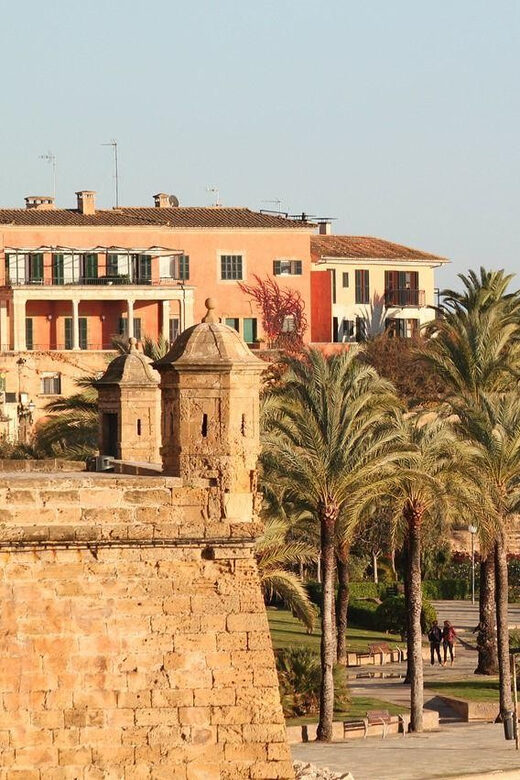 Palma de Mallorca Private Guided Walking Tour - Practical Tips for Tour Participants